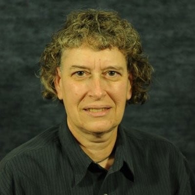 ADPI in the 1990s-2000s - ADPI