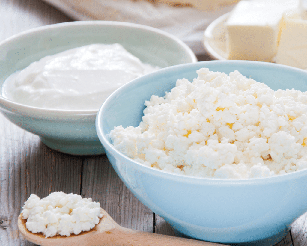 Focus on Dairy Ingredients - ADPI